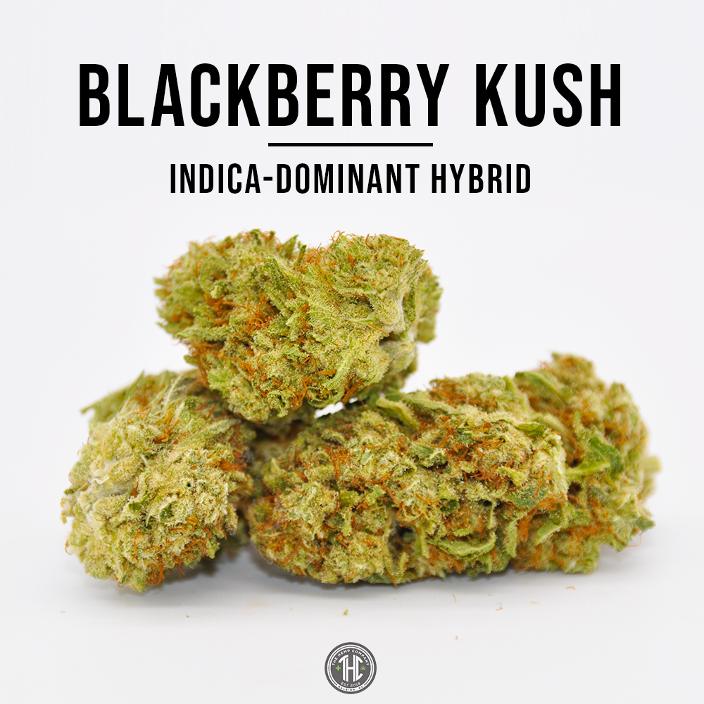Blackberry Kush